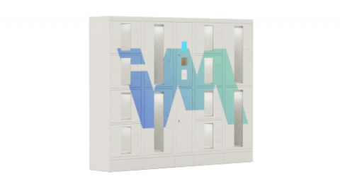 SaveBox System - IVM
